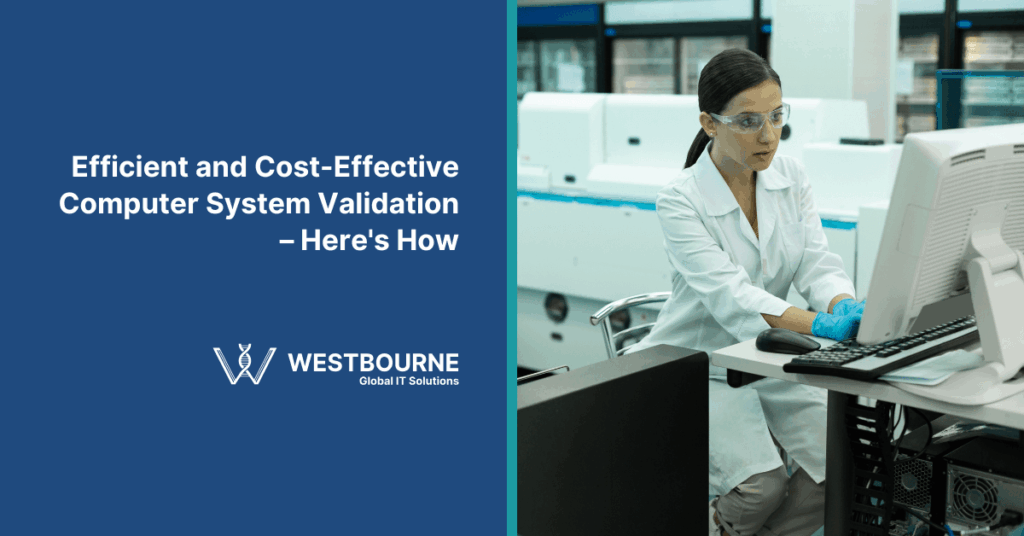 Efficient and Cost-Effective Computer System Validation – Here's How ...